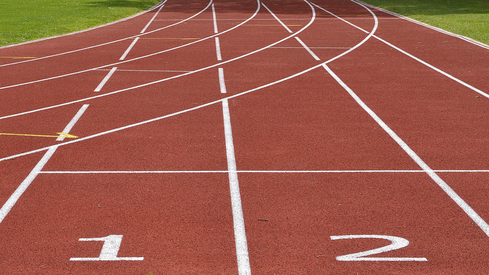 Full PU Running Track - terranexintl.com